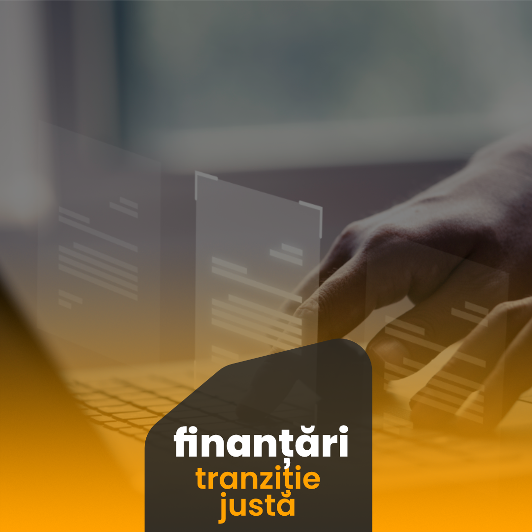 Consultanță Fonduri Europene - RamixTeam & AlexTeam